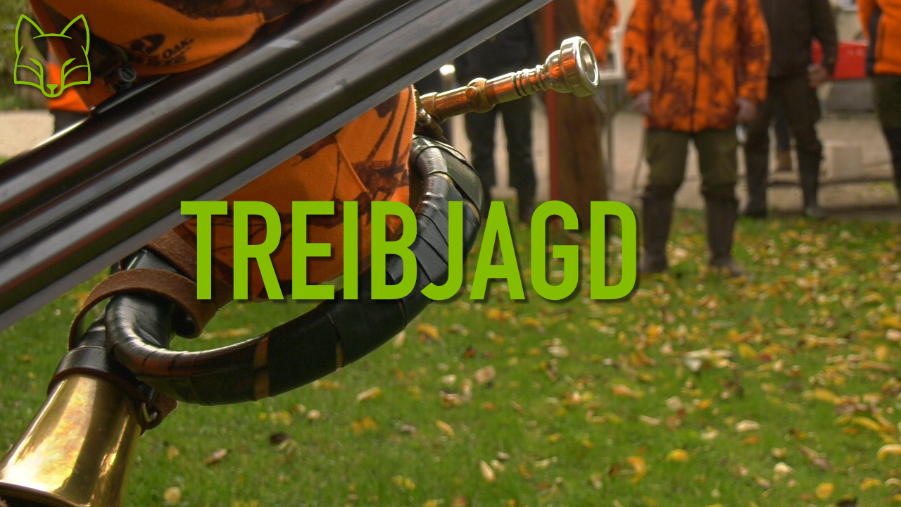 Treibjagd in Bayern - Ralf Bonnekessen - Video & Dokumentationen